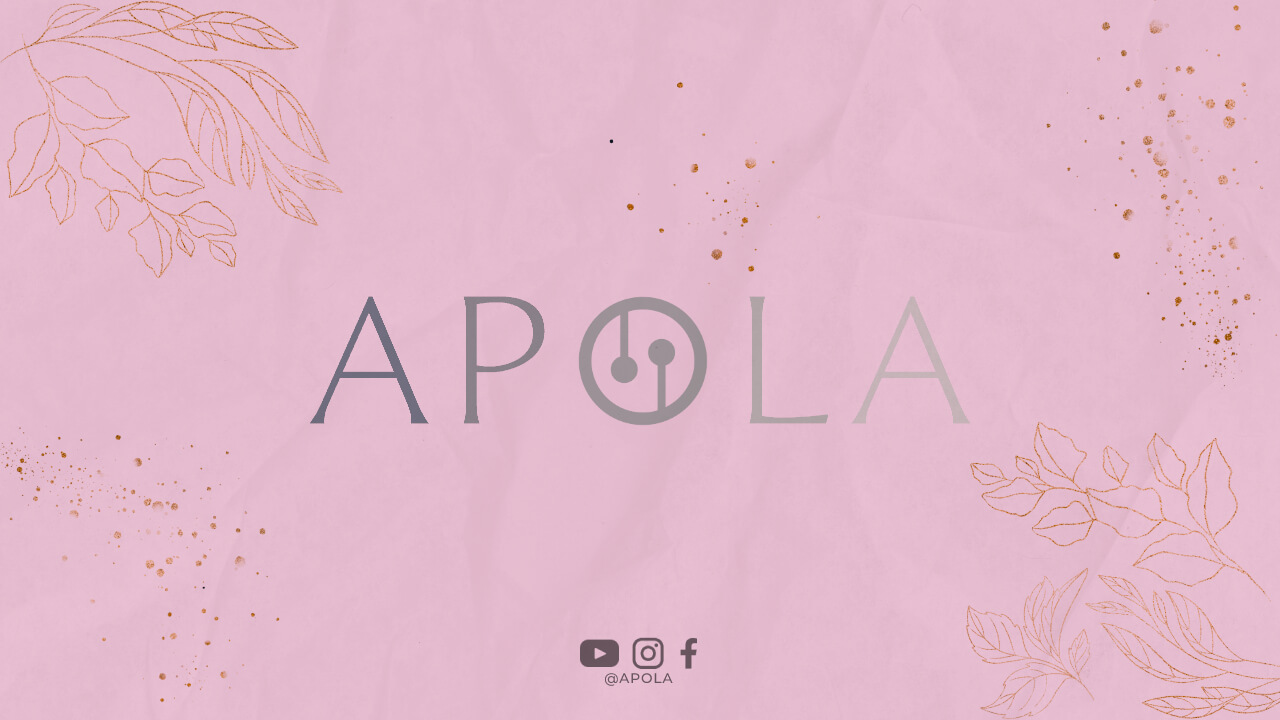 Disclaimer - Aki2 Apola